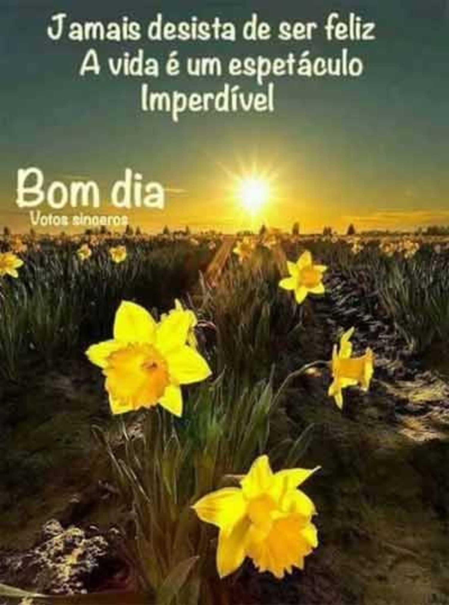 99 Imagens De Bom Dia Com Lindas Mensagens Para Whatsapp