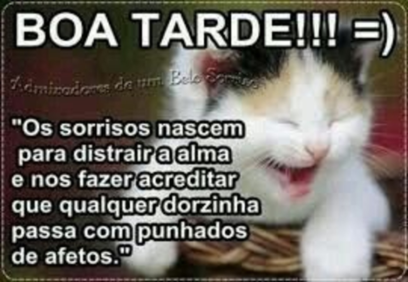 Boa Tarde engraçado - ImagensBomDia.net