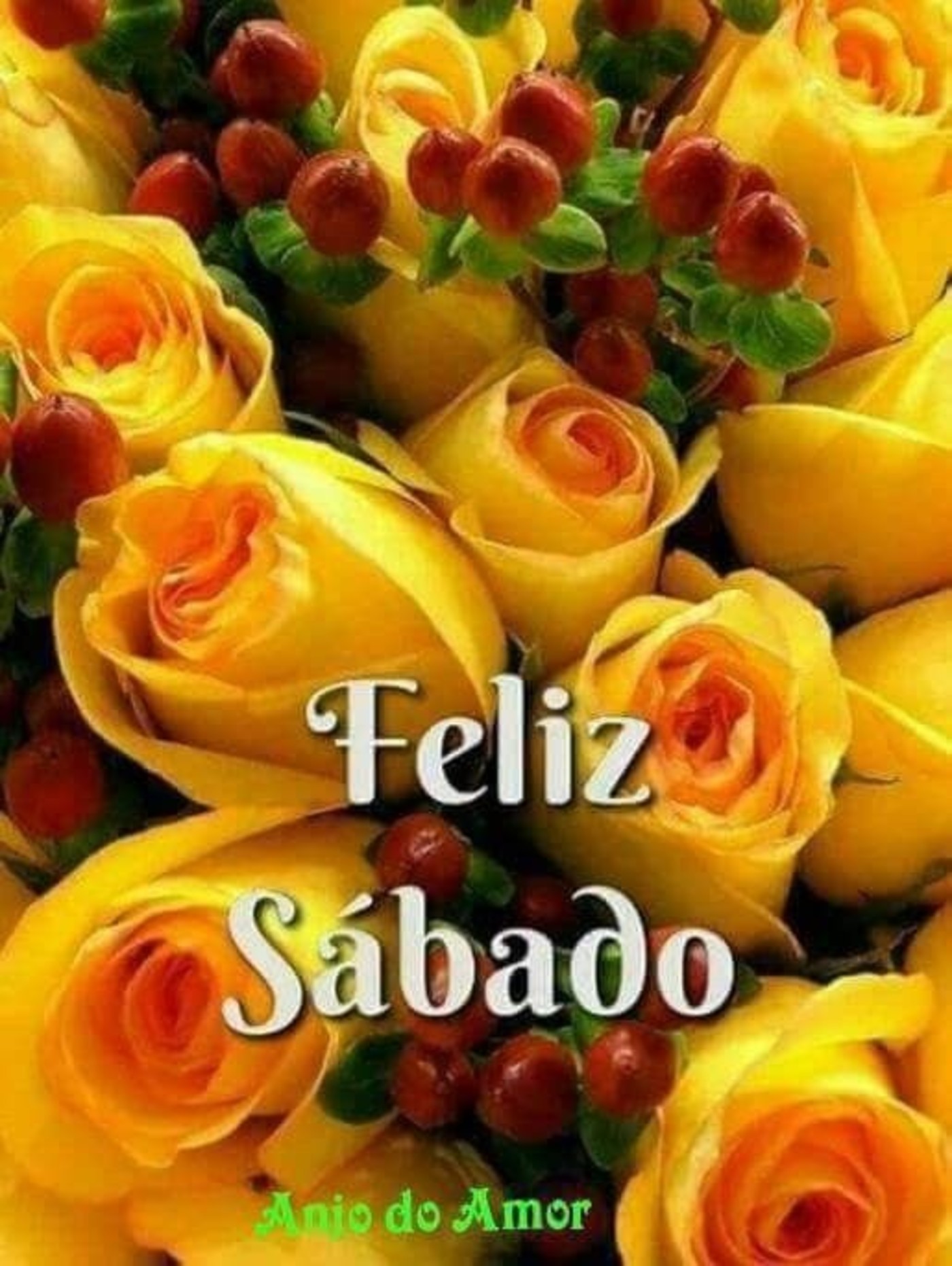 Bom Dia Feliz Sábado 302 - ImagensBomDia.net