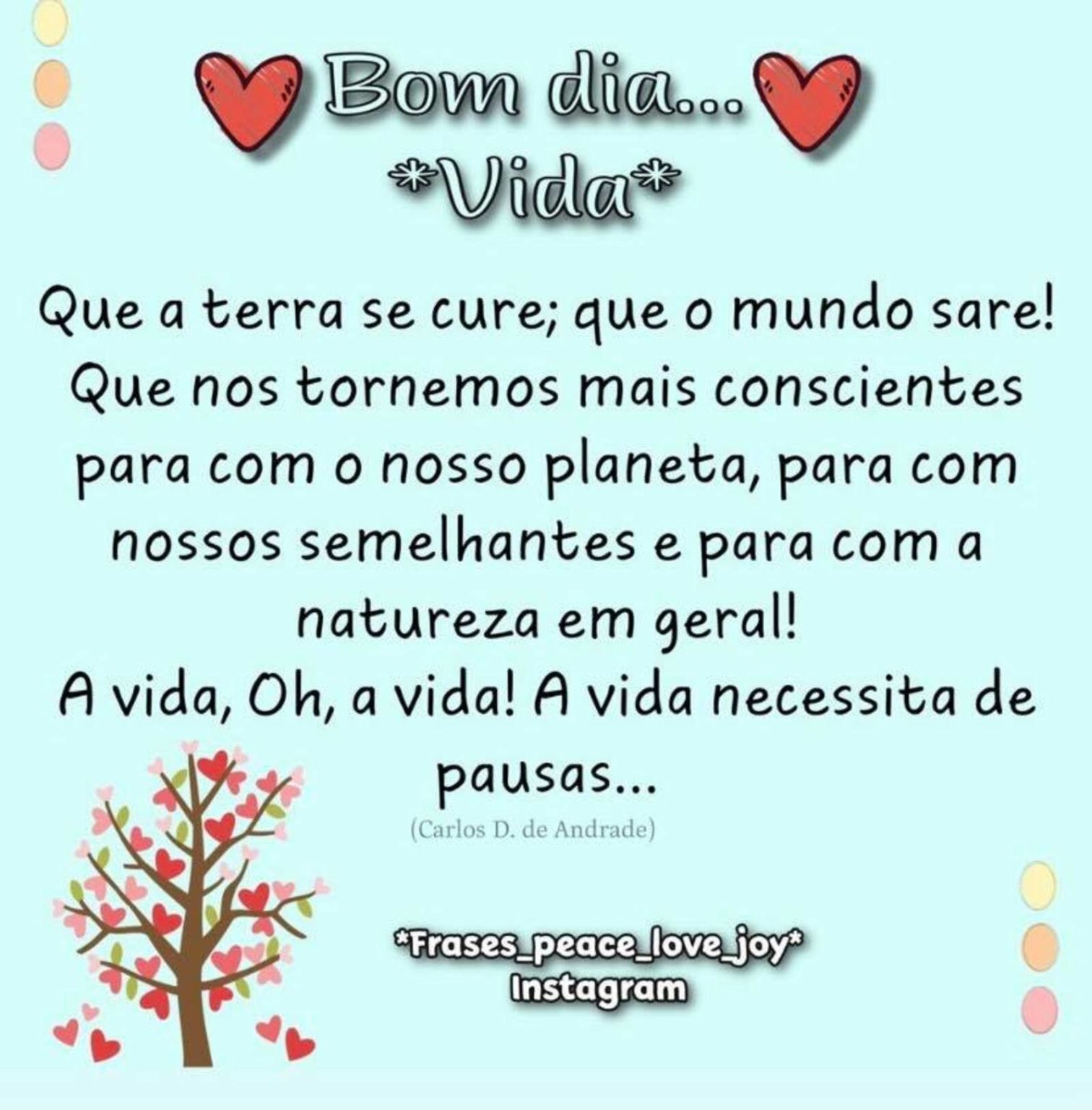 Bom Dia Vida - ImagensBomDia.net