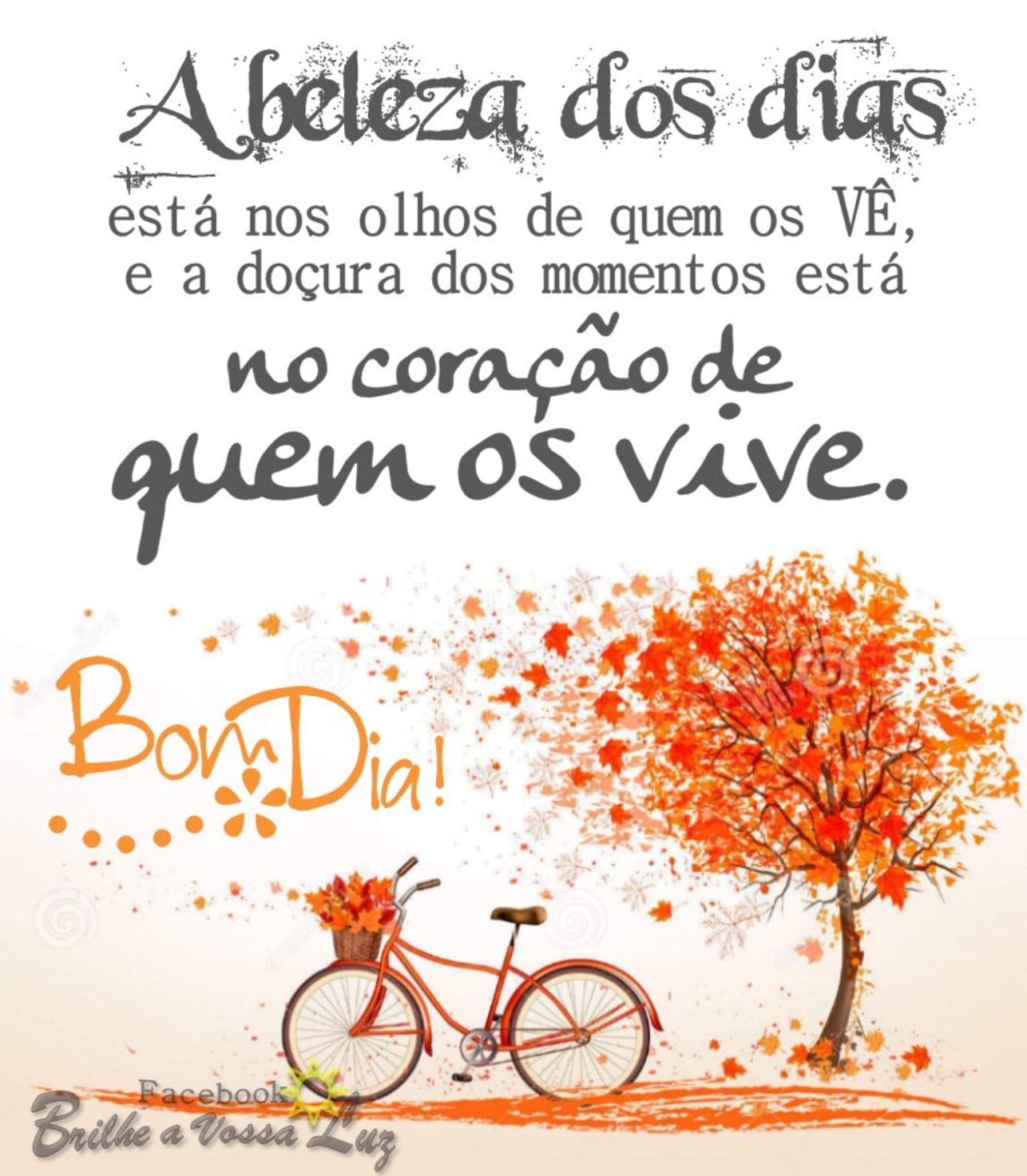 Imagens belas do Bom Dia para WhatsApp 495 - ImagensBomDia.net