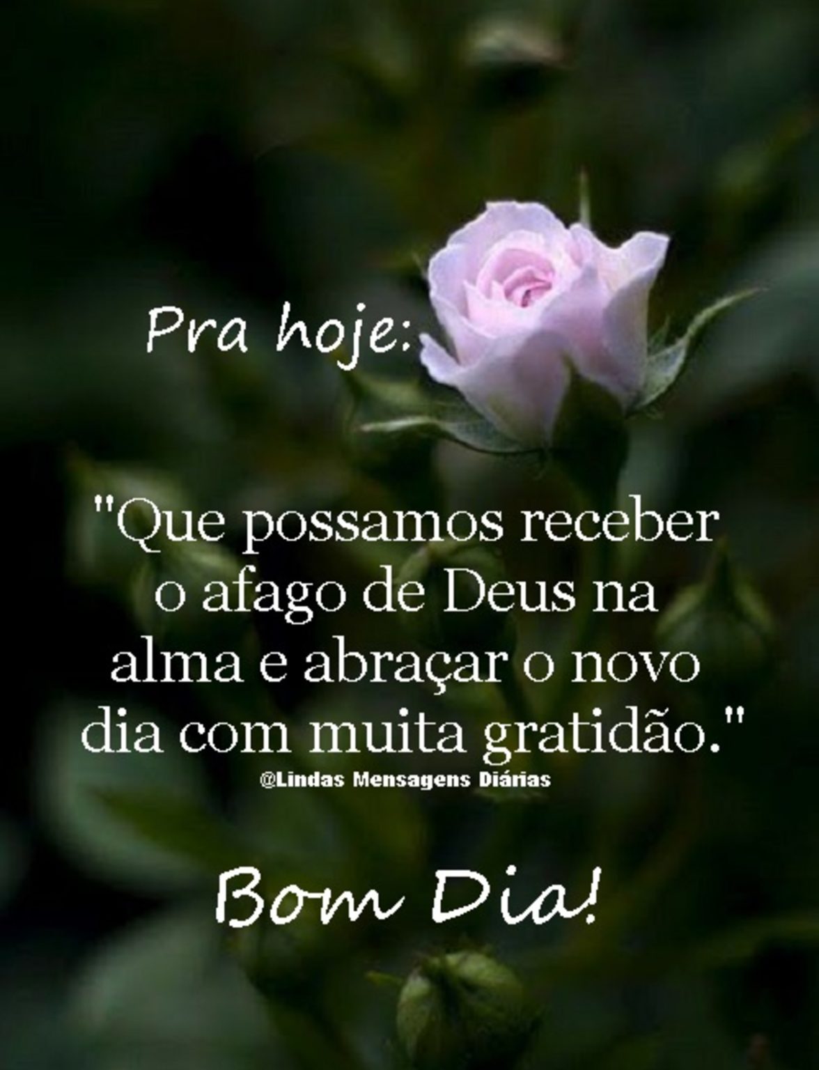 Pra Hoje que possamos receber o afago de Deus na alma e abraçar o novo ...