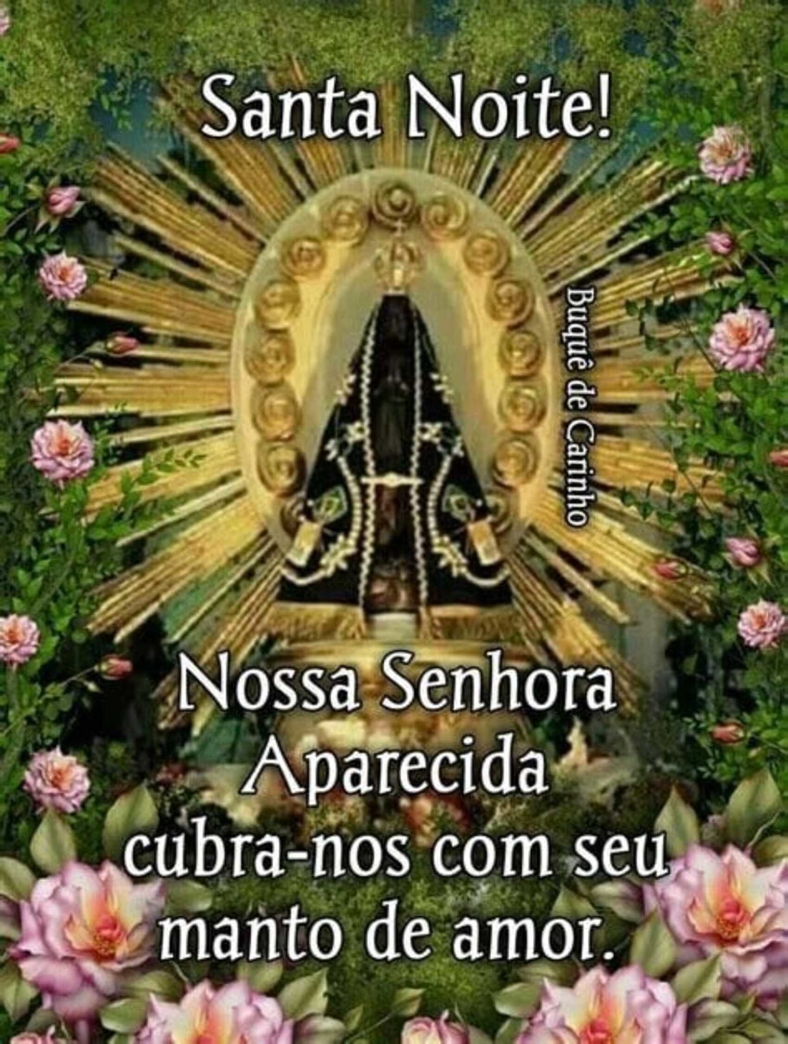 Santa Noite Nossa Senhora Aparecida cubra-nos com seu manto de amor ...